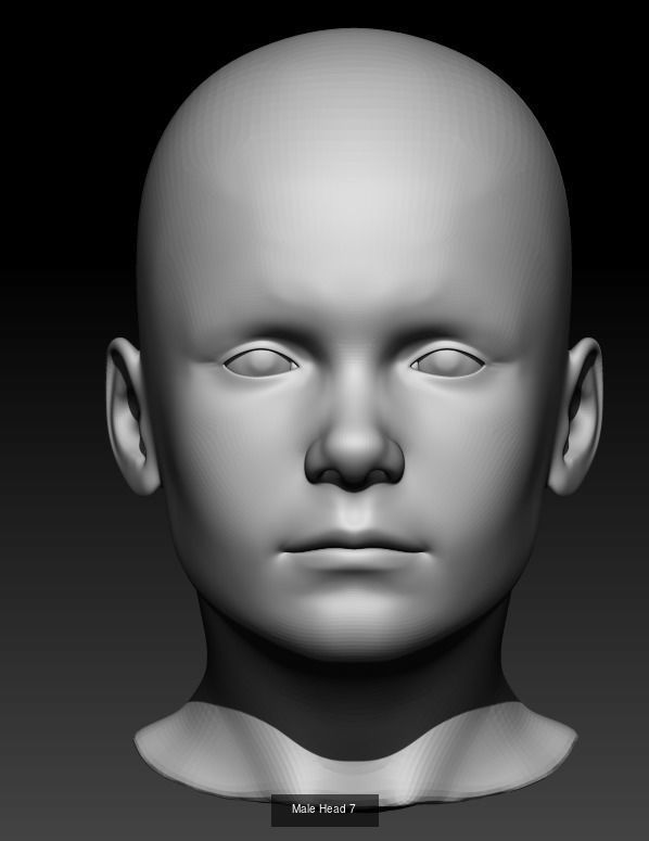 Male Heads and Female Heads base mesh 4 model 3D Model Collection ...