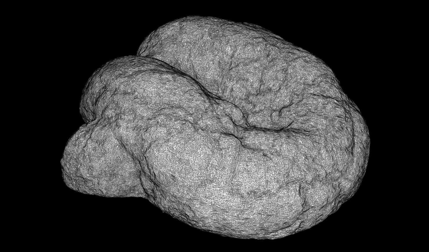 3D PRINTABLE POOP PRANK THREE PACK 3D model 3D printable | CGTrader