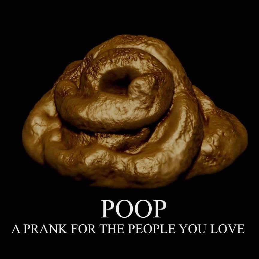 3D PRINTABLE POOP PRANK THREE PACK 3D model 3D printable | CGTrader