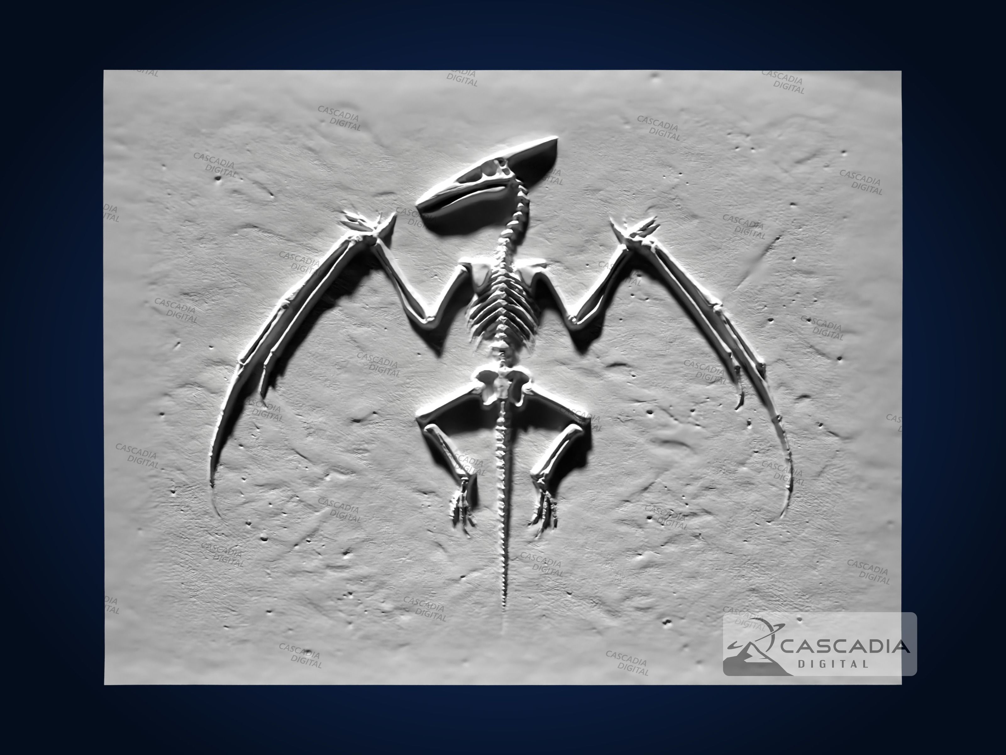 Fossil Full Pterodactyl Dinosaur CNC Router Carving Bas Relief 3D model ...