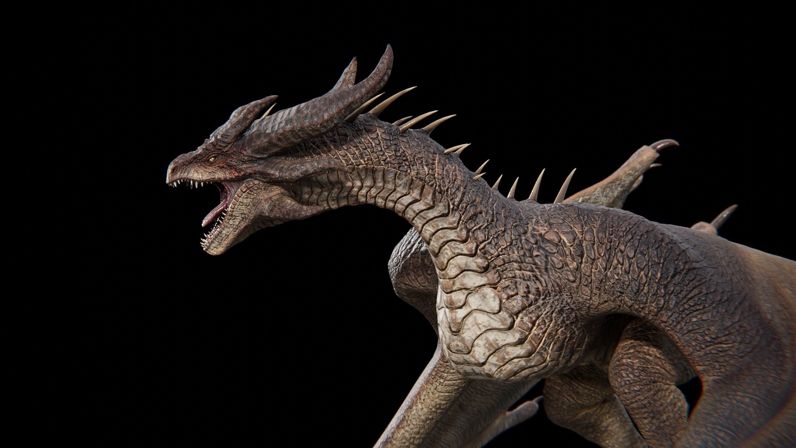 3D Model Collection Dragons Western Dragon and Wyvern VR / AR / low ...