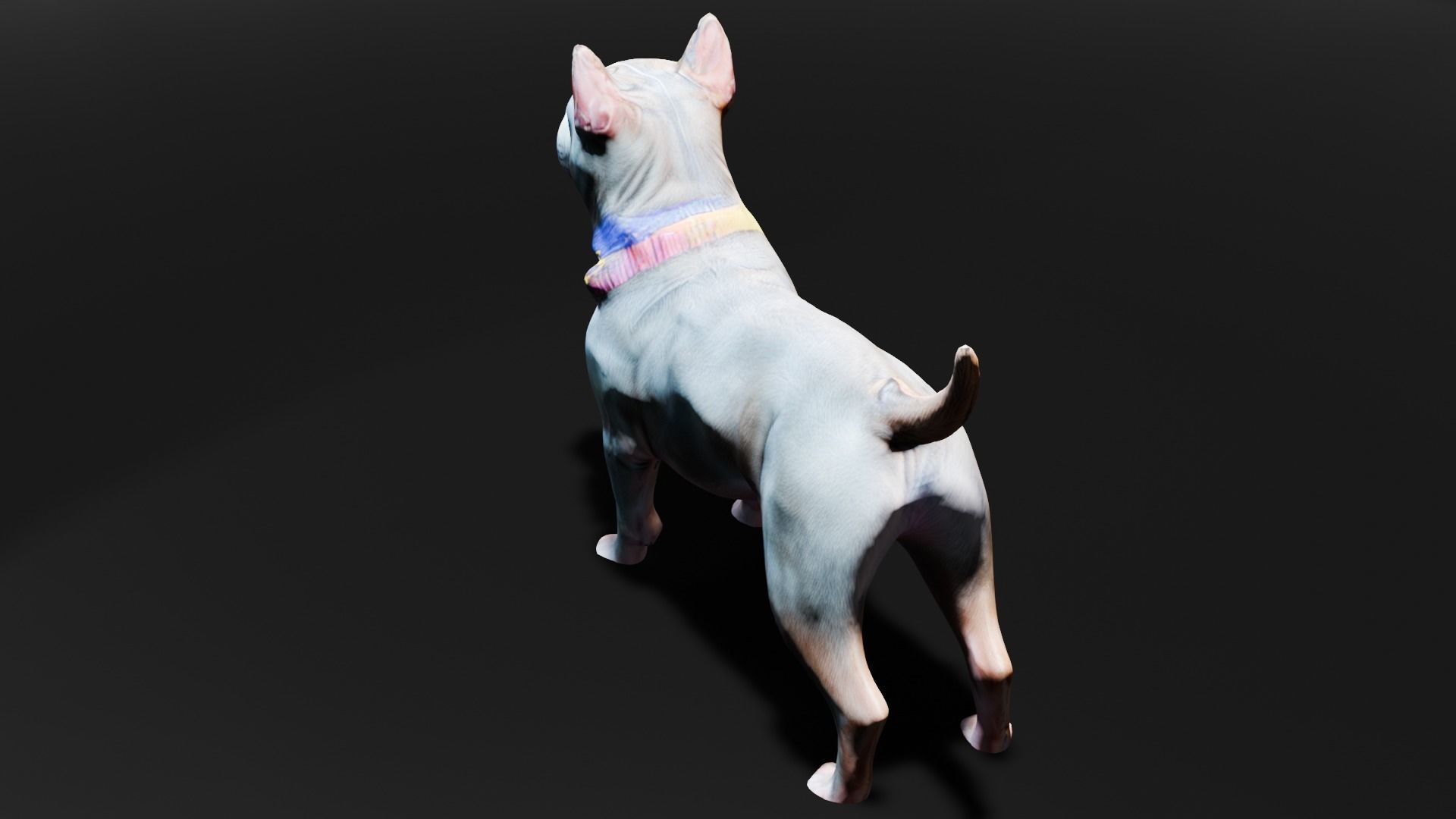 Pakistani Pitbull dog model free download free VR / AR / low-poly 3D ...