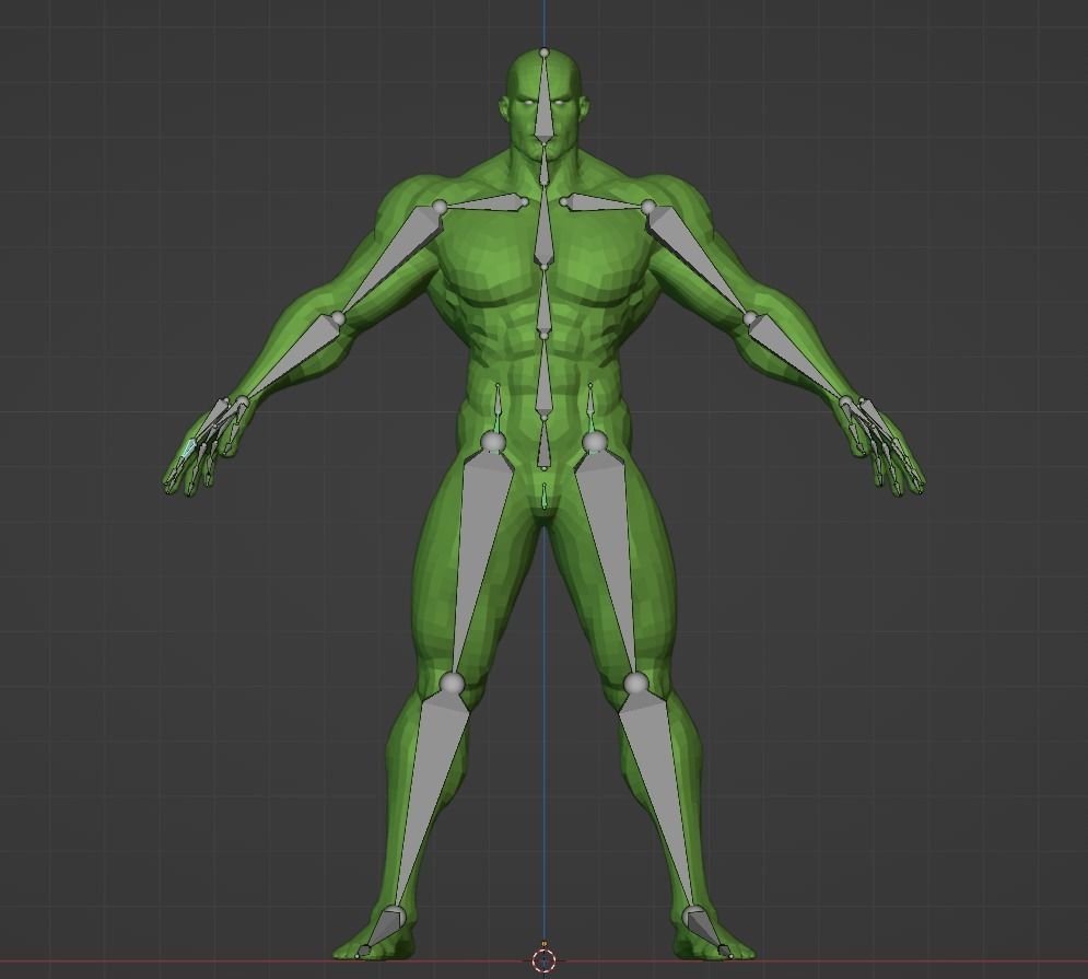 Stylized Muscular Male Anatomy Basemeshes 3D model rigged | CGTrader