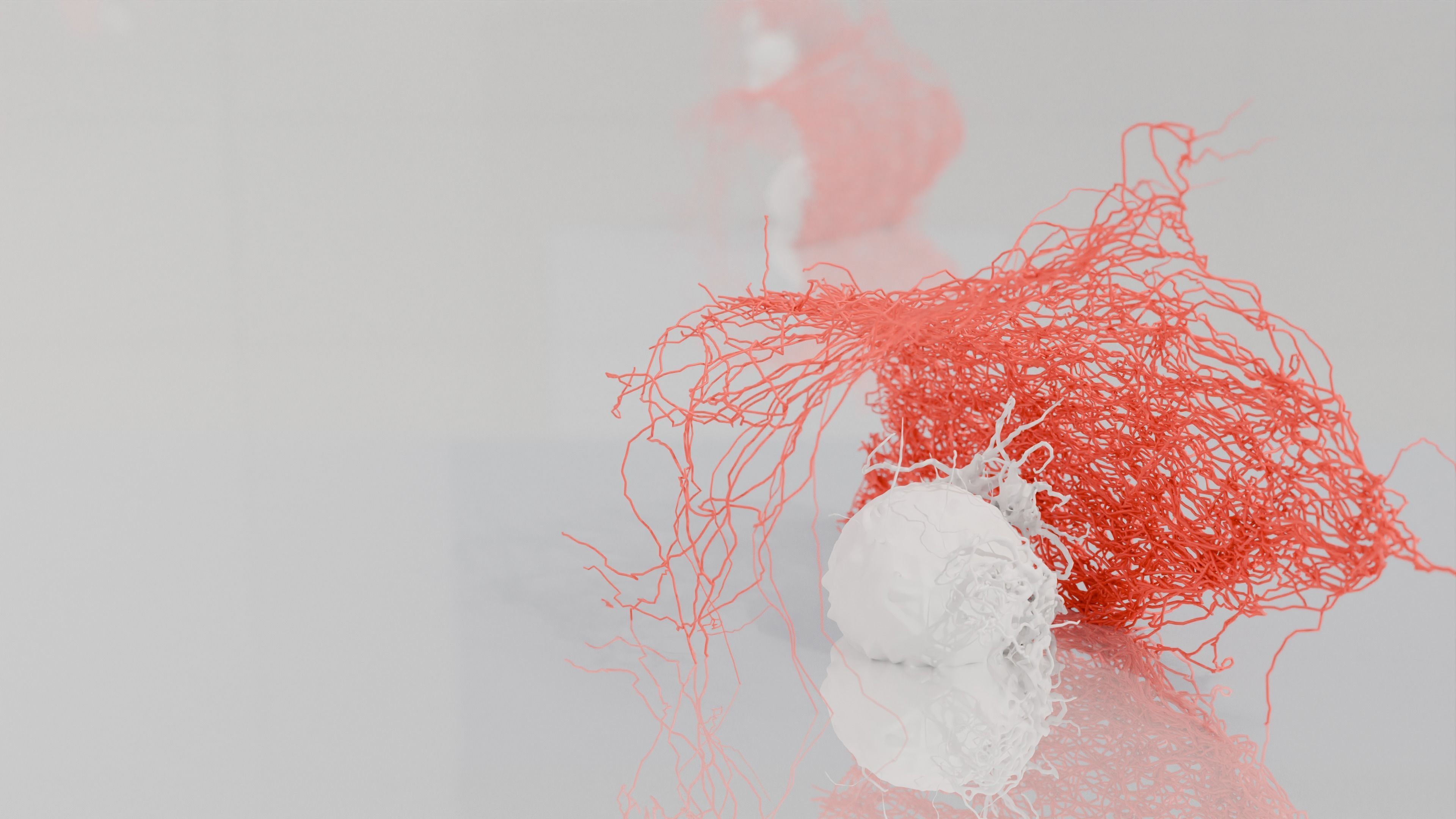 Cancer Cells 3D model with BONUS Animated Infographic 3D model animated ...