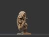 SARA PEZZINI - WITCHBLADE Bust 3D PRINT 3D model 3D printable | CGTrader