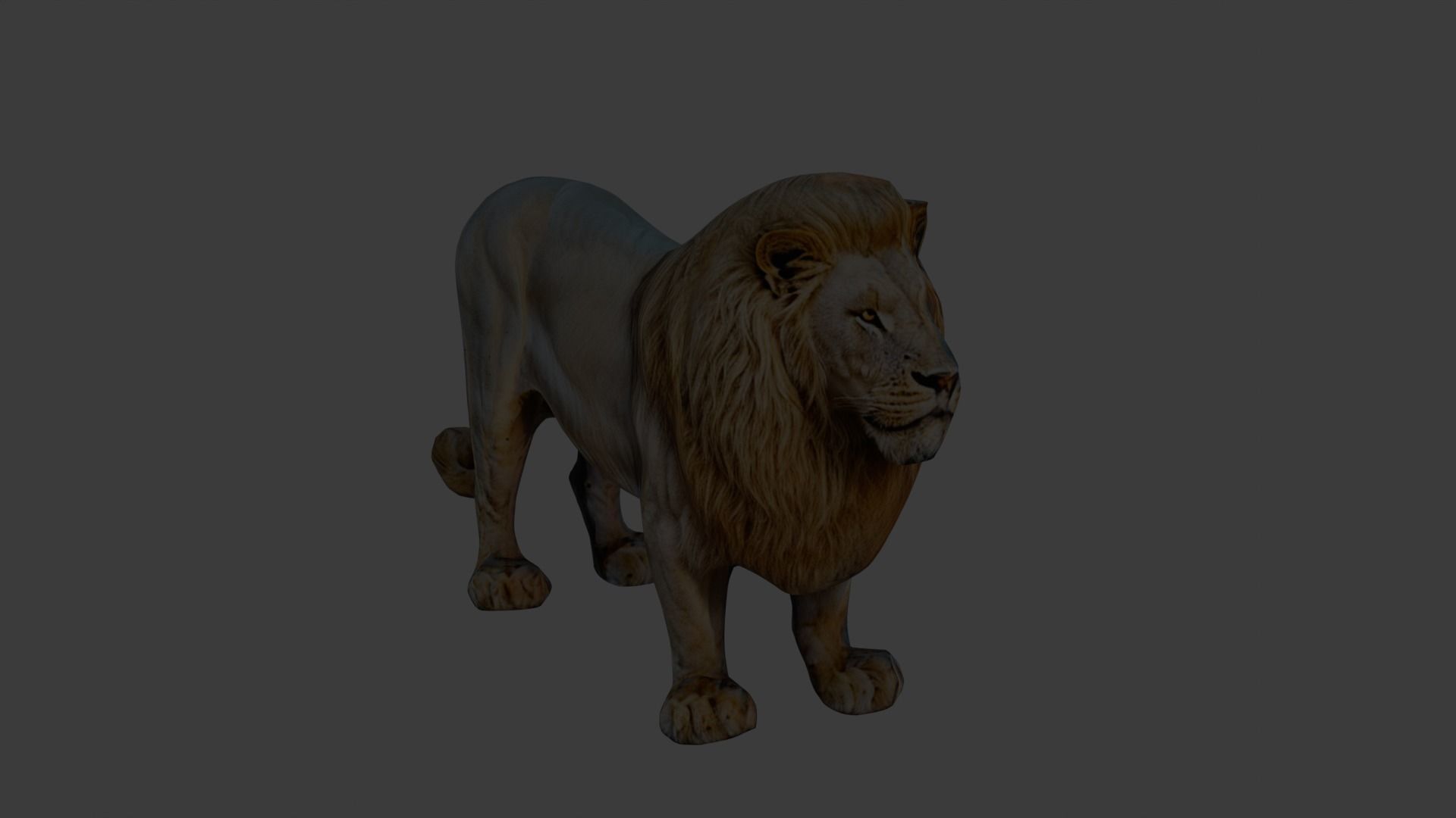 Lion 3d Model Free Download By Ma3d24 free VR / AR / low-poly 3D model ...