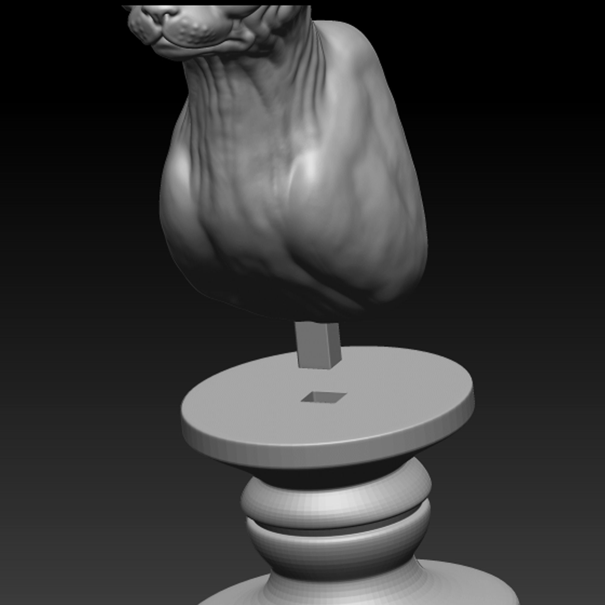 Sphynx cat bust 3D model 3D printable | CGTrader