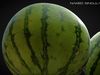 FREE Low poly - Watermelon photogrammetry 4K free VR / AR / low-poly 3D ...