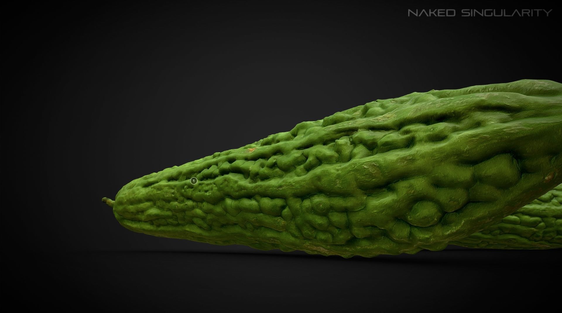 3D model 3D Scan fruit - Bitter melon photogrammetry 4K VR / AR / low-poly | CGTrader