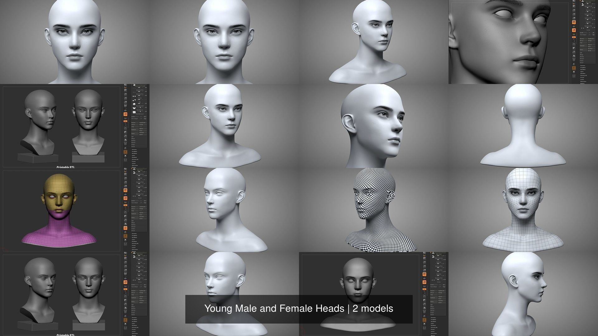 Young Male and Female Heads 3D Model Collection | CGTrader