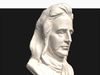 Isaac Newton 3D Printable FBX-STL-GLB-OBJ 3D model 3D printable | CGTrader