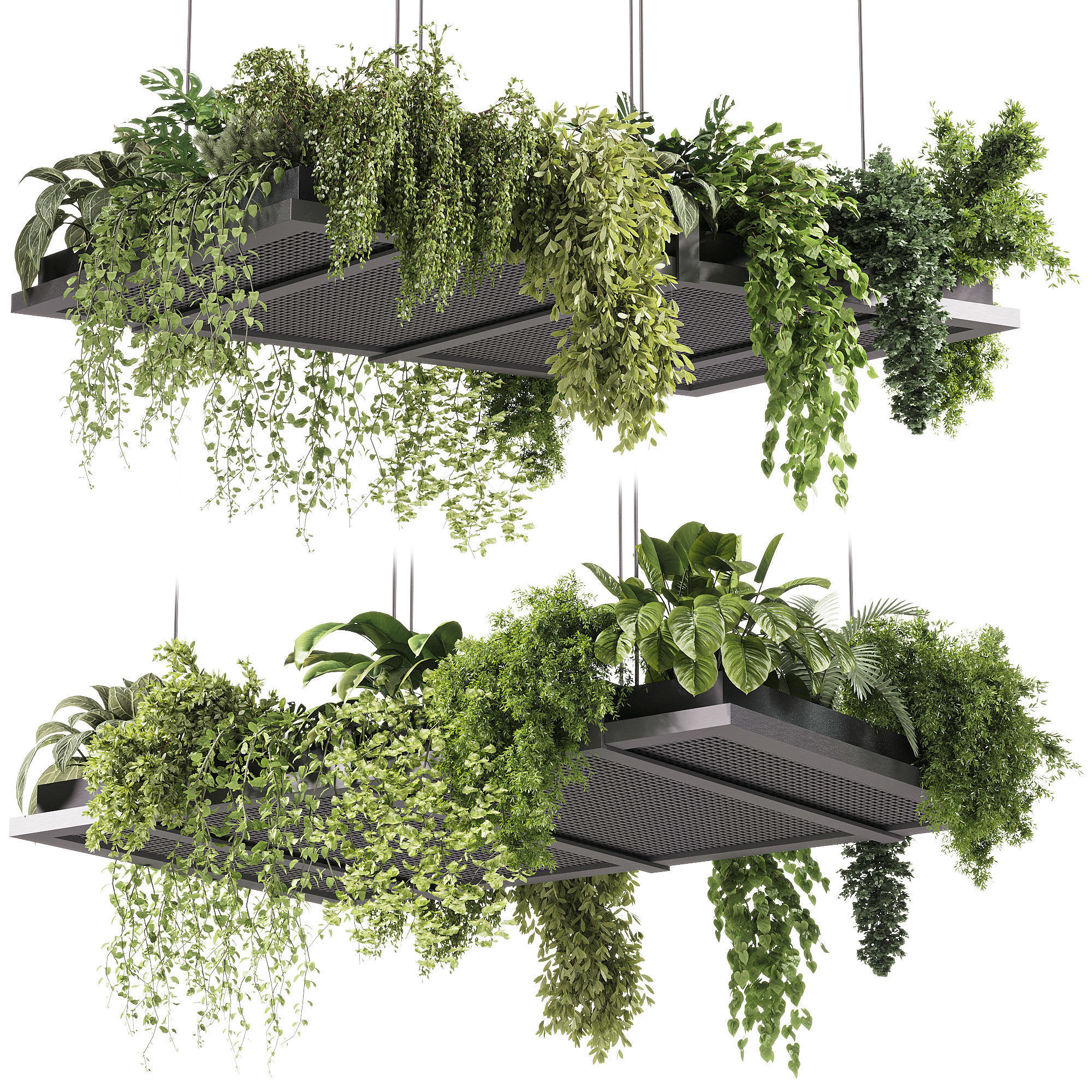 indoor plants - 51 Hanging indoor plant 3D model | CGTrader