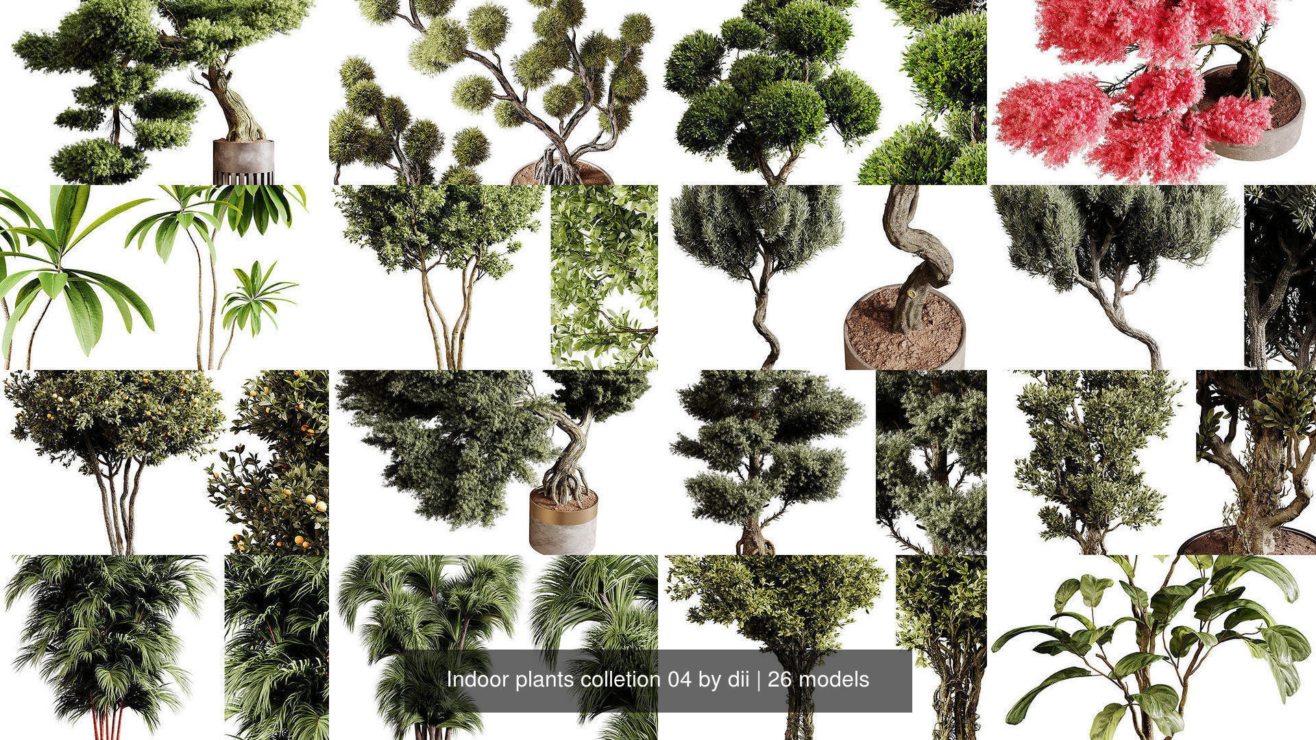 Indoor plants colletion 04 by dii 3D Model Collection | CGTrader
