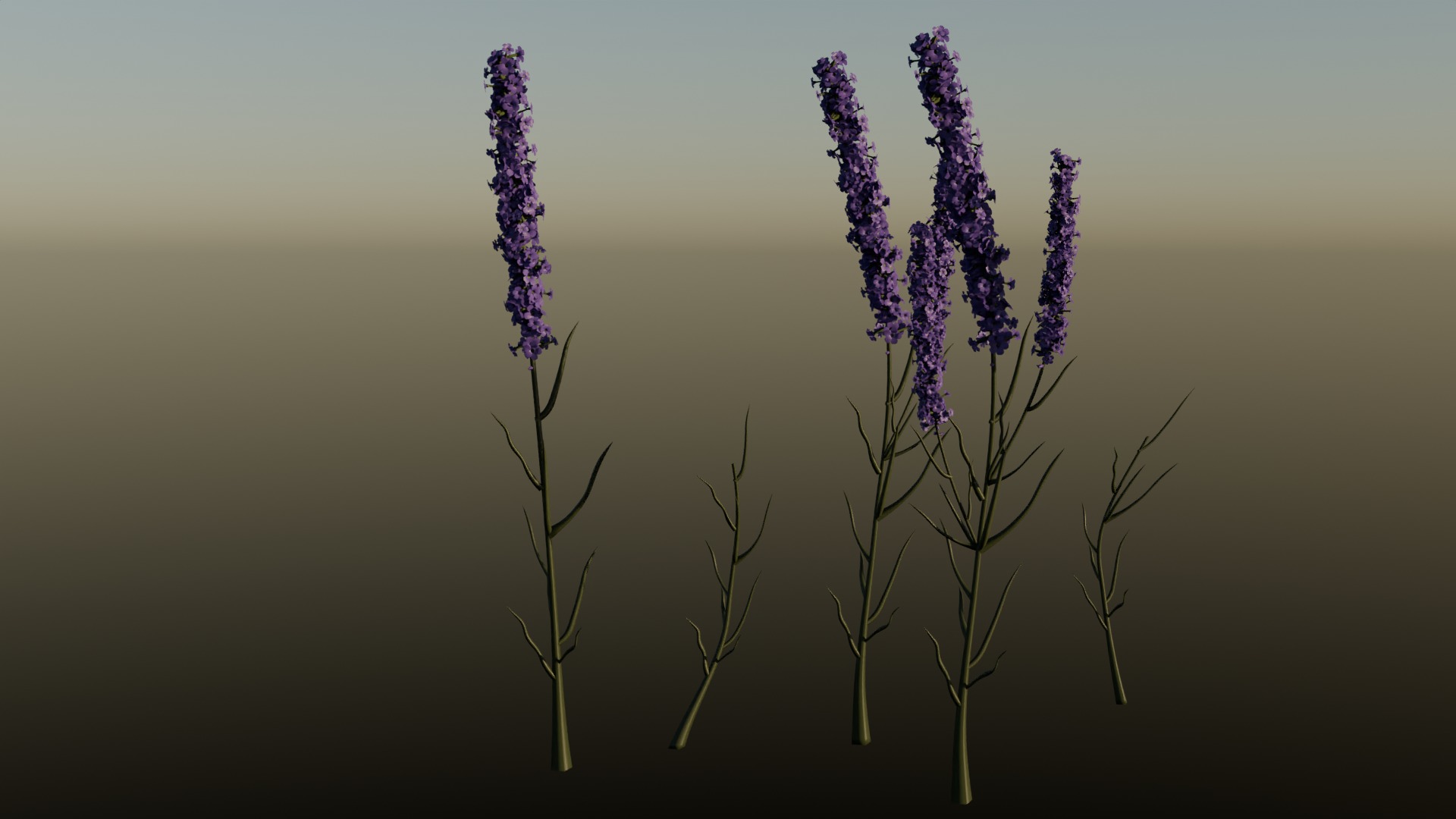Lavender free 3D model | CGTrader