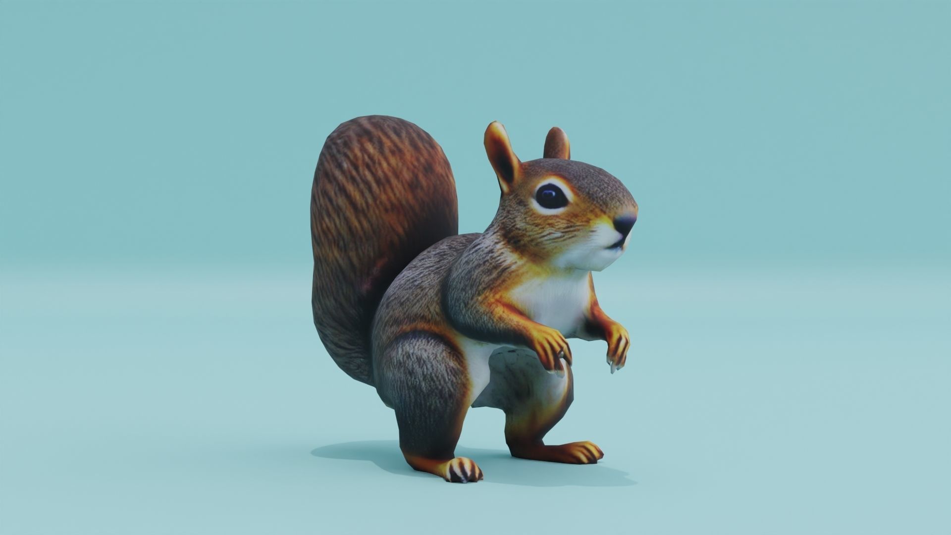 Squirrel realistic Rodent free VR / AR / low-poly 3D model | CGTrader