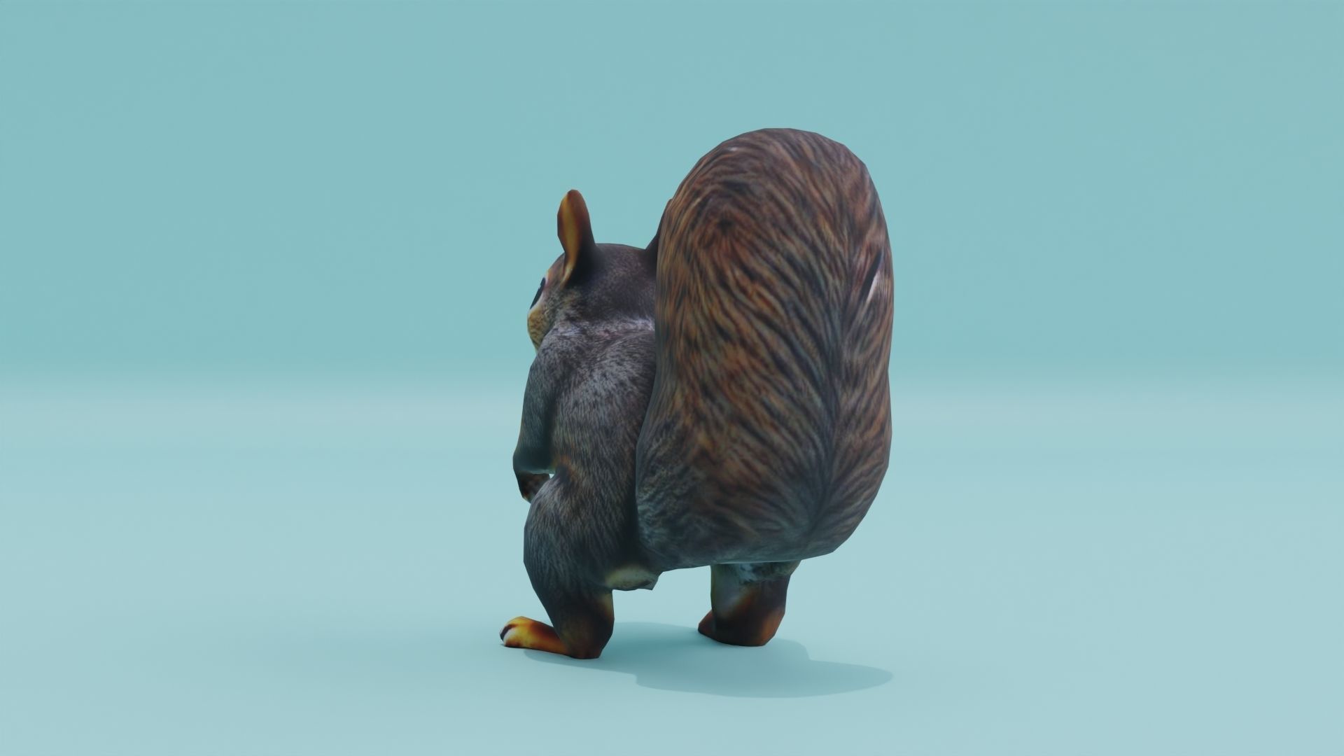 Squirrel realistic Rodent free VR / AR / low-poly 3D model | CGTrader