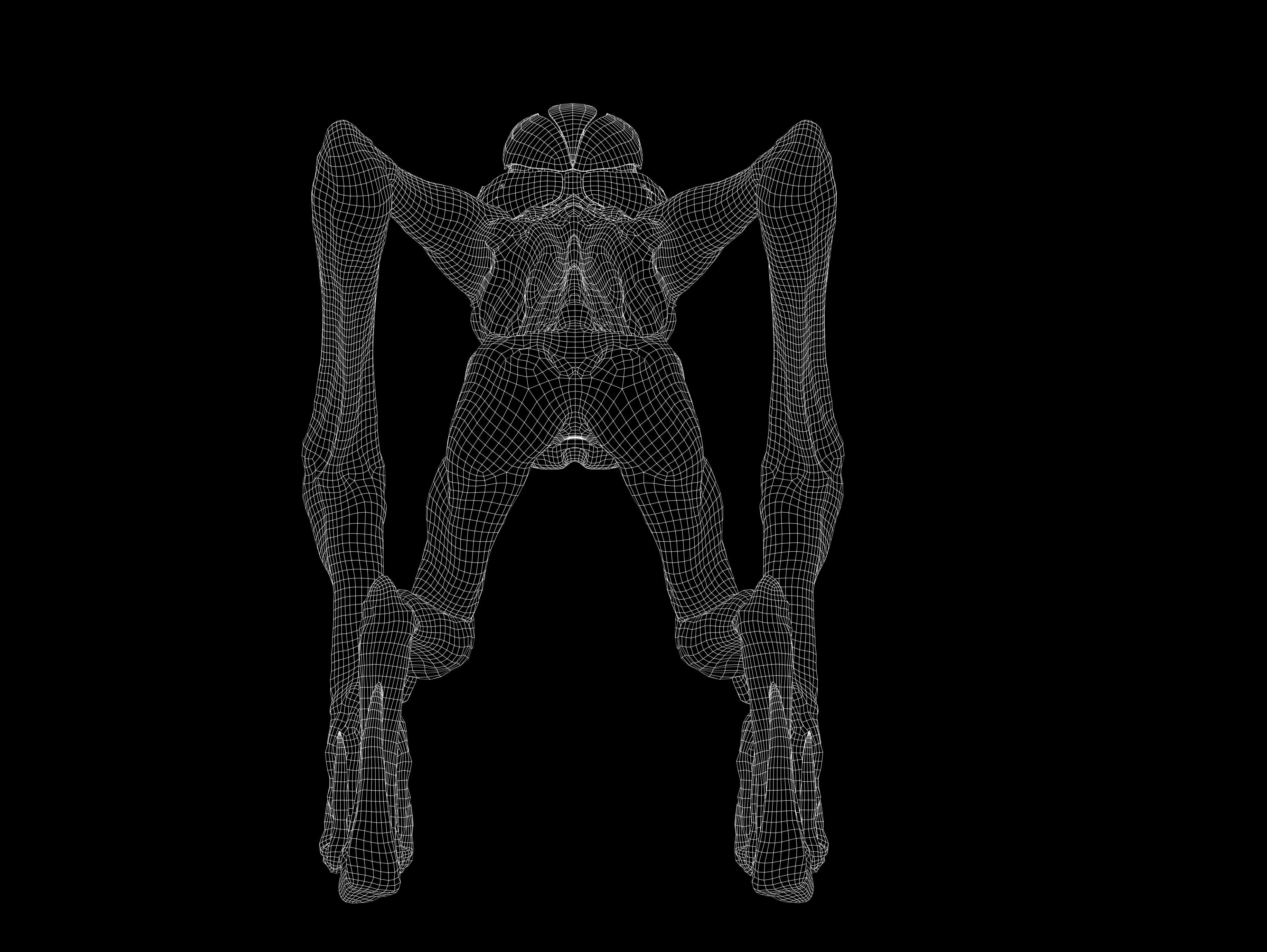 3D model Death Angel VR / AR / low-poly | CGTrader