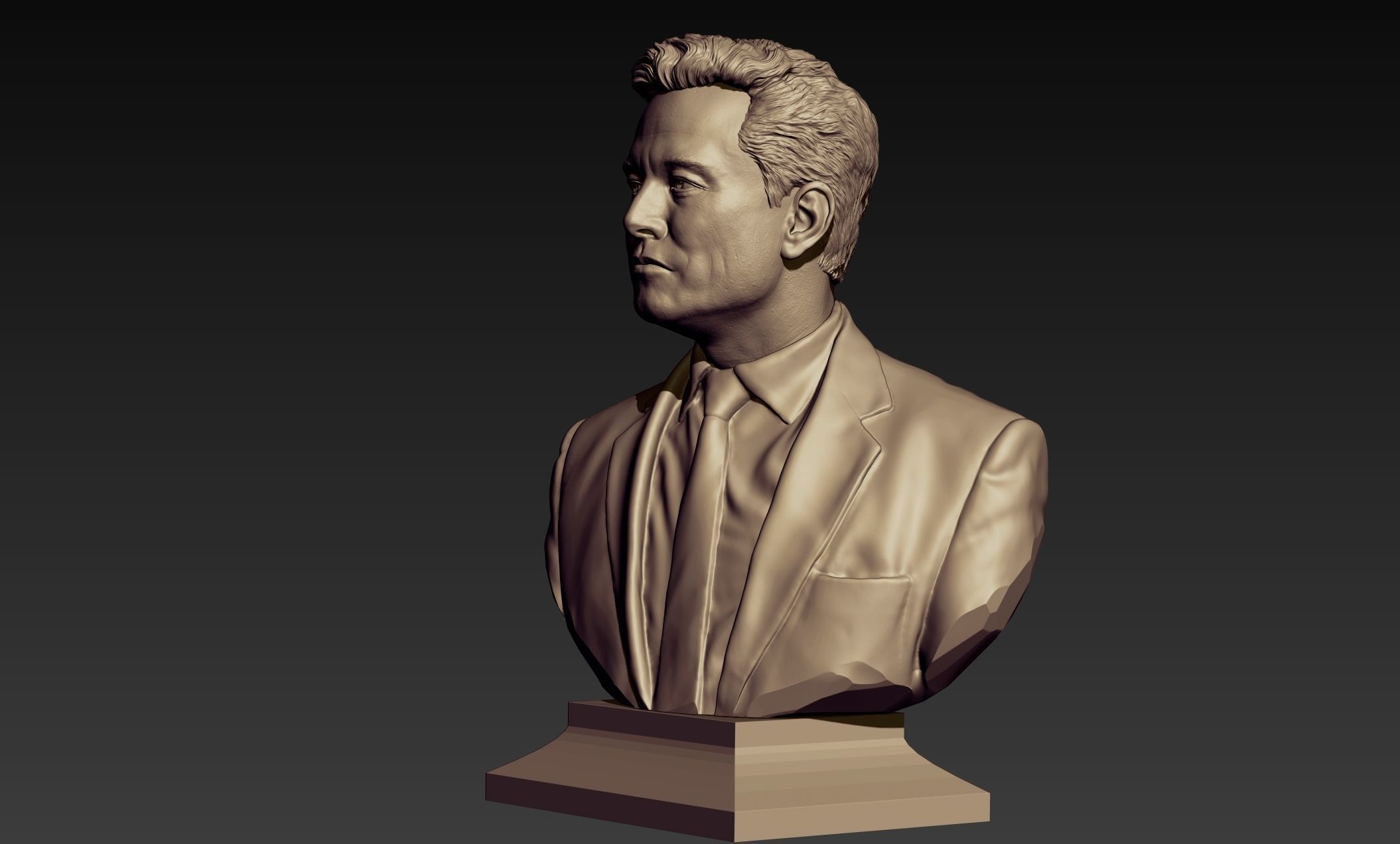 Elon Musk 3D model 3D printable | CGTrader