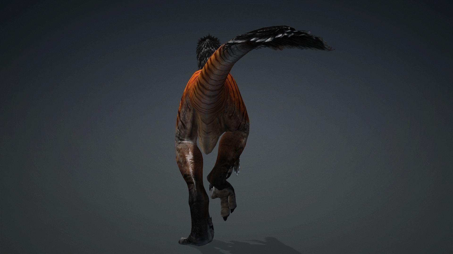 Austroraptor dinosaur 3D model type of dinosure free 3D model animated ...