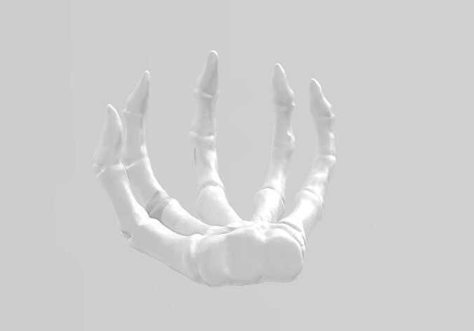 Skeleton Hand 3D model | CGTrader