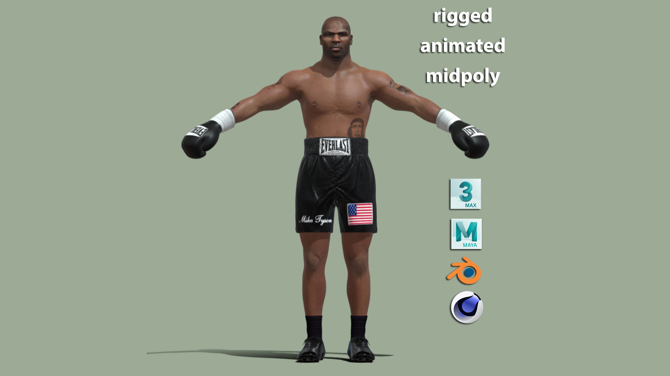 T-Pose Rigged Mike Tyson 3D model animated rigged | CGTrader