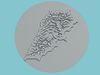 Lebanon Map Medallion Wall Art Printer 3D model 3D printable | CGTrader
