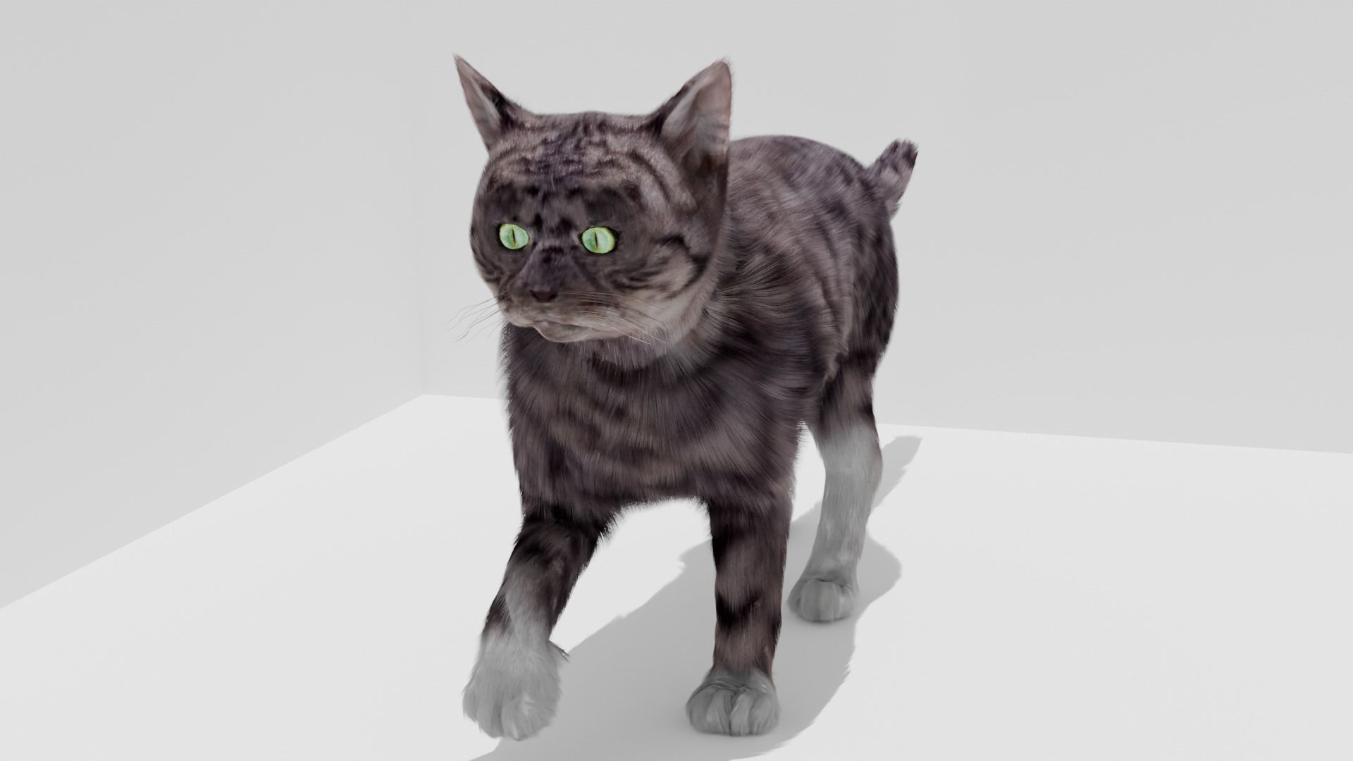 3D model Grey Cat Animated Grace 3D model made in blender high quality VR / AR / low-poly | CGTrader