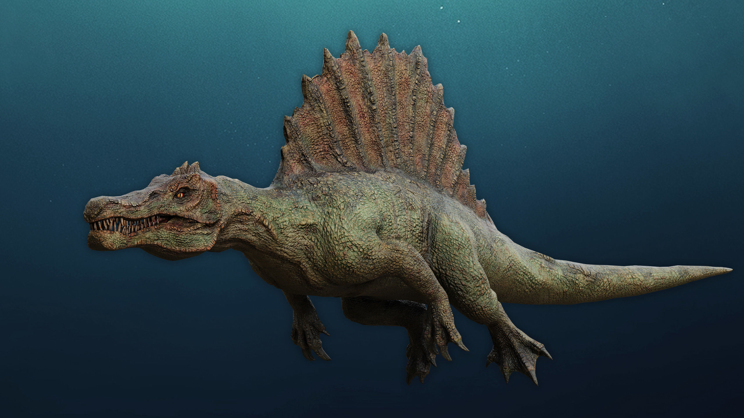 3D model Spinosaurus - Spino Dinosaur VR / AR / low-poly | CGTrader