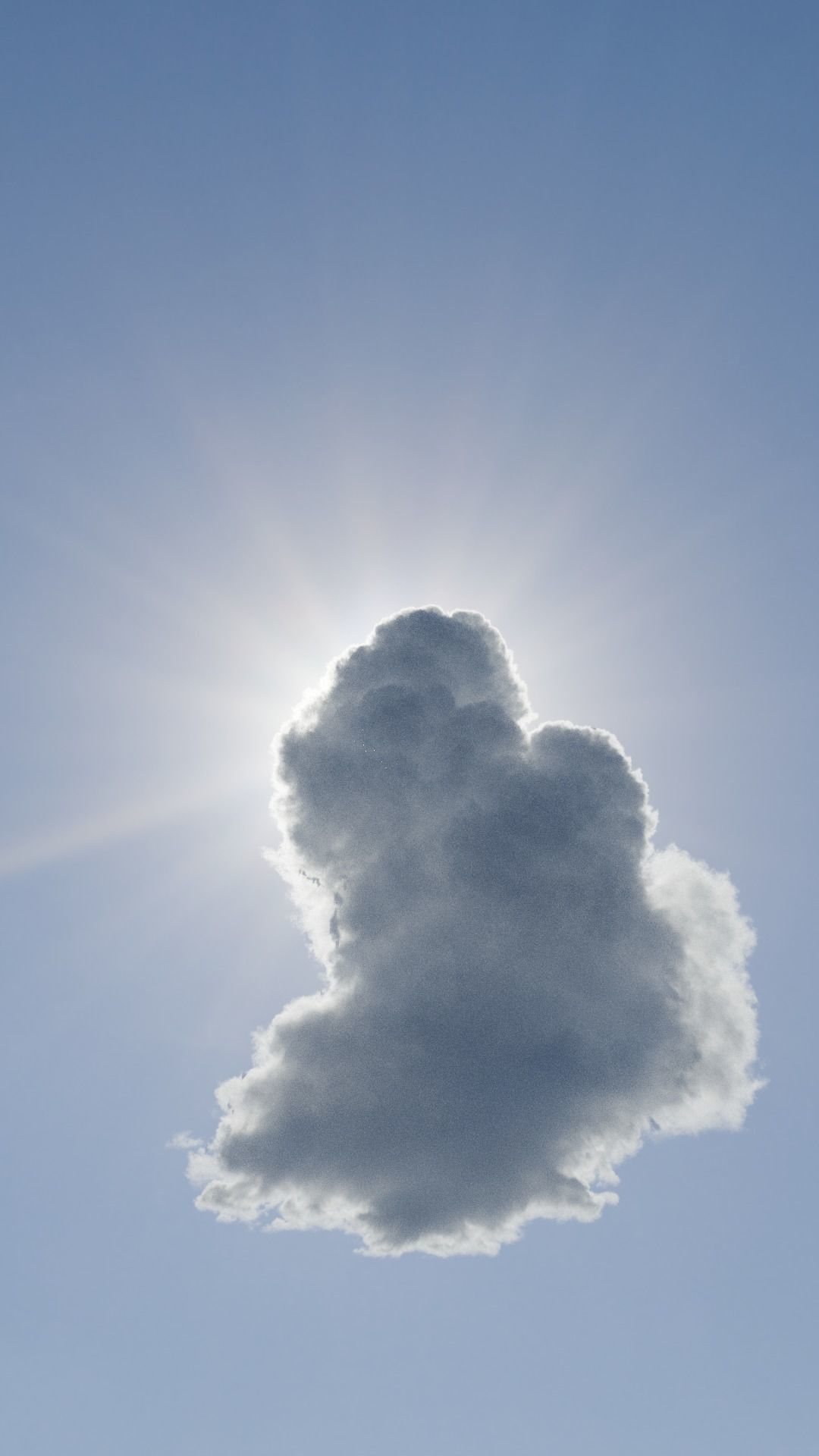 4 Free VDB Clouds free 3D model | CGTrader