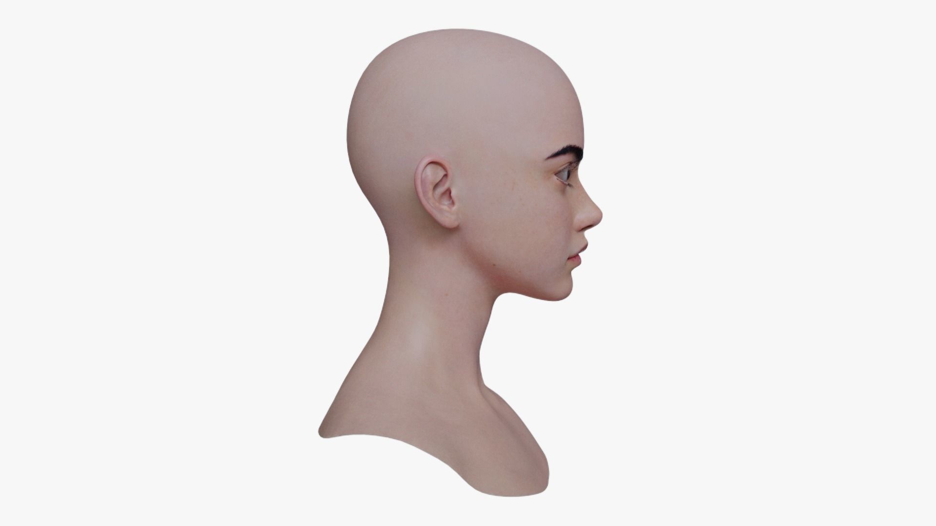 Asian Female Head Base Mesh Metahuman Topology v4 3D model | CGTrader