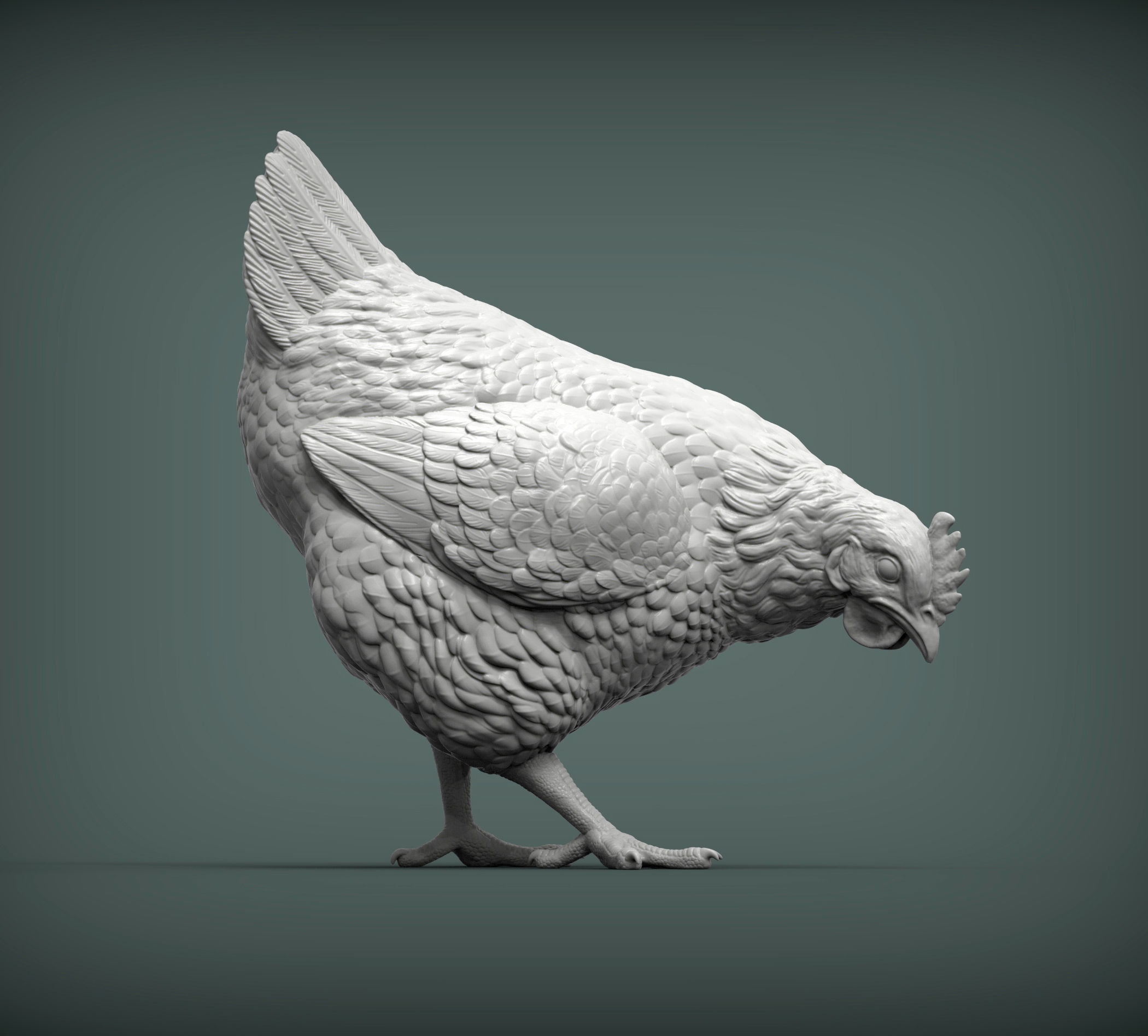 chicken looking for food 3D model 3D printable | CGTrader