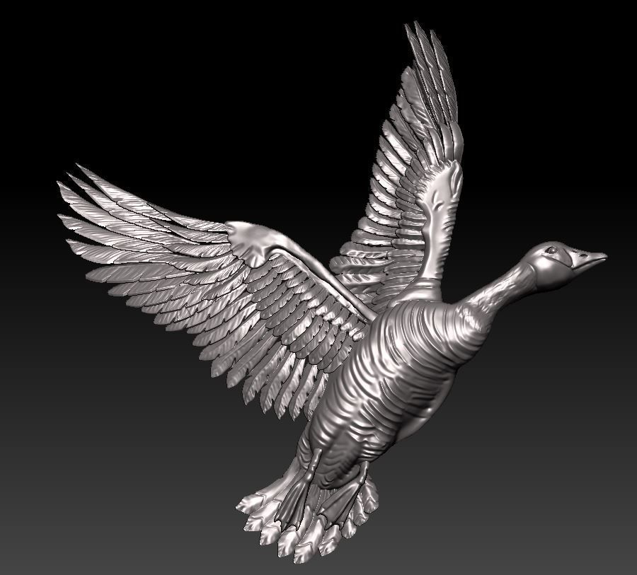 WILD DUCK 3D RELIEF 3D model 3D printable | CGTrader