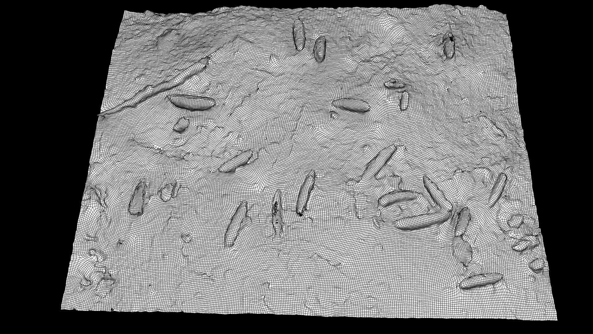 forest ground terrain scan photogrammetry FREE free VR / AR / low-poly ...