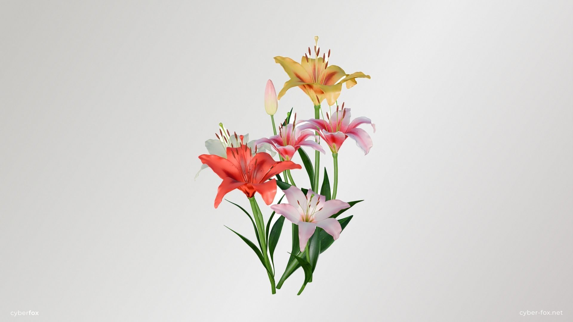 3D model Lily Flower In 5 Colors VR / AR / low-poly | CGTrader
