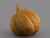 HIGH QUALITY REALISTIC PUMPKIN 8K MAPS 3D model | CGTrader