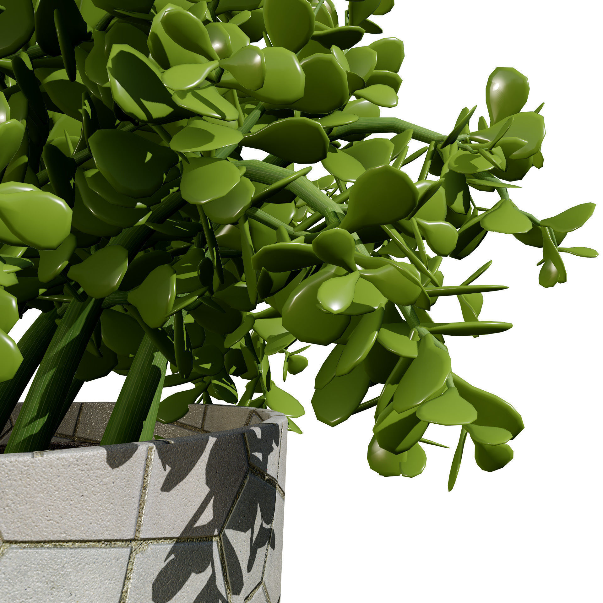 3D model Indoor Plant 3D Models VR / AR / low-poly | CGTrader