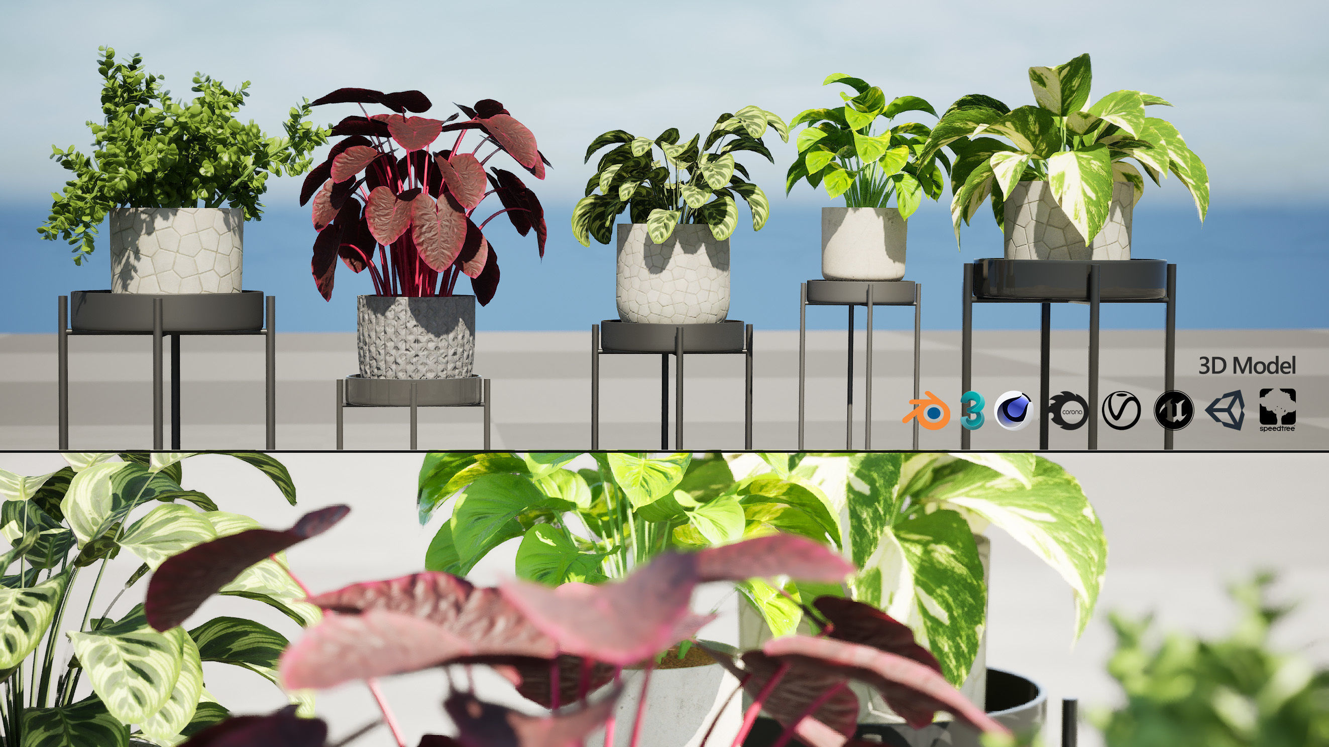 3D model Indoor Plant 3D Models VR / AR / low-poly | CGTrader