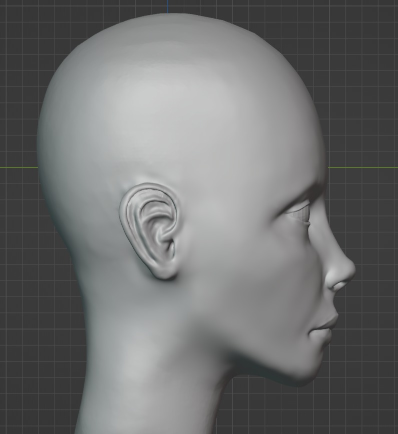 high poly female head free 3D model | CGTrader