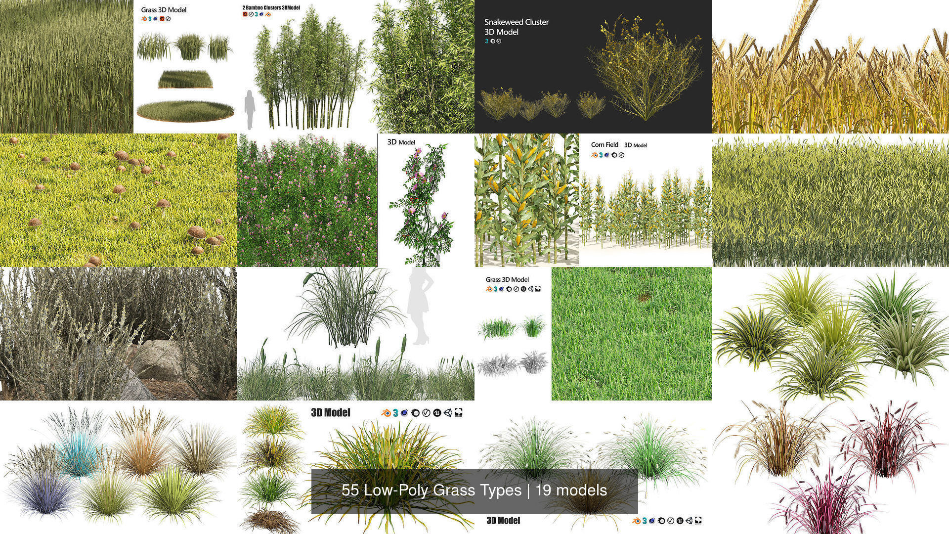 3D Model Collection 55 Low-Poly Grass Types VR / AR / low-poly | CGTrader
