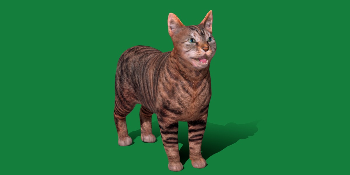 3D model Manx Cat VR / AR / low-poly rigged animated | CGTrader