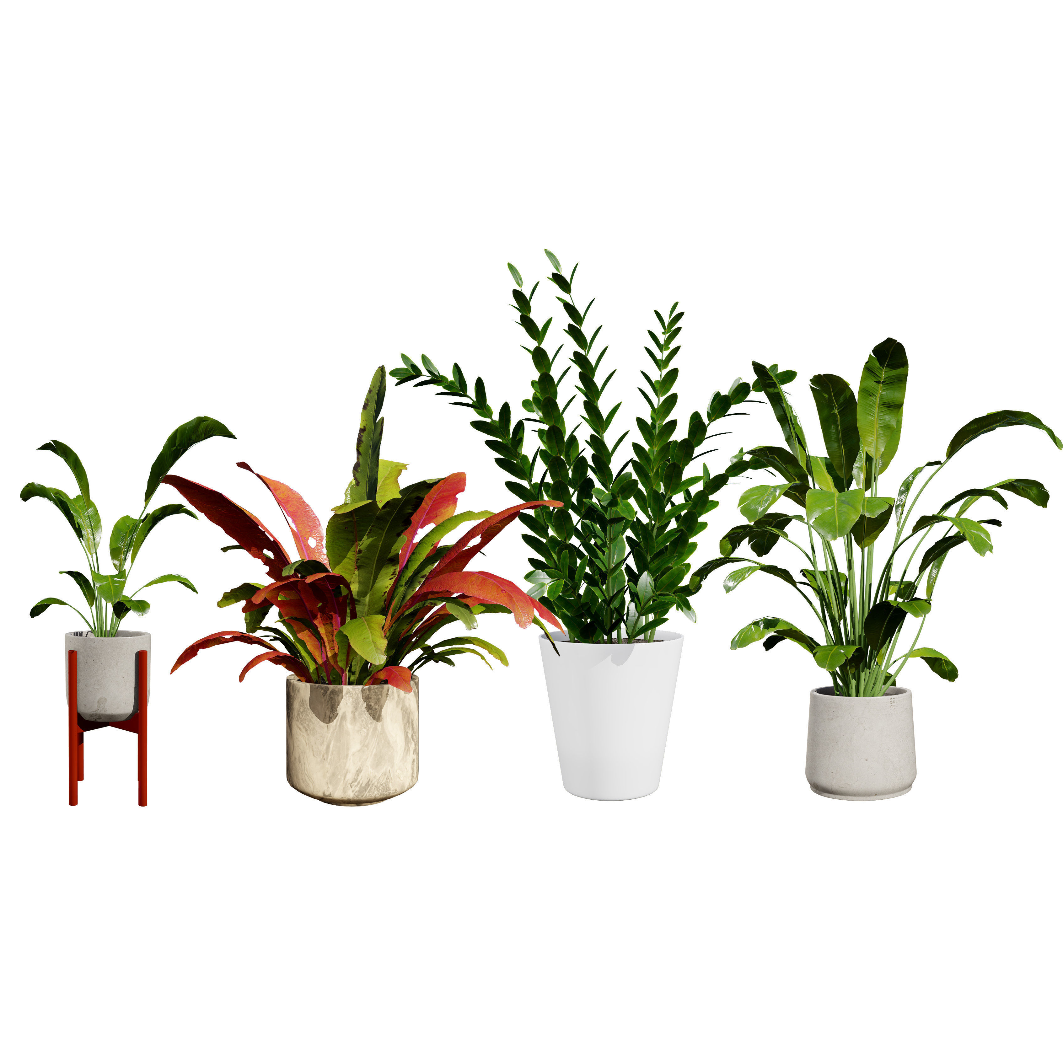 3D model Indoor Plants 3D Model Pack VR / AR / low-poly | CGTrader