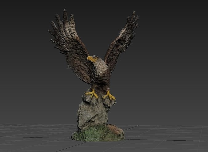 Eagle Scanned free 3D model | CGTrader