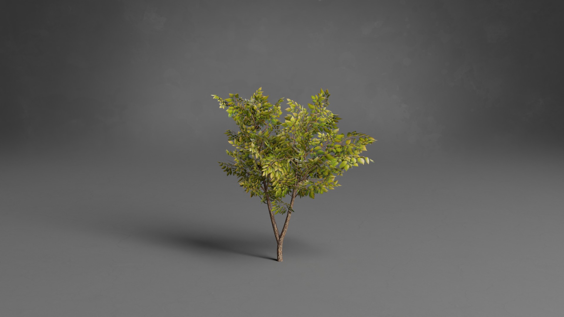 3D model Stylized Trees VR / AR / low-poly | CGTrader