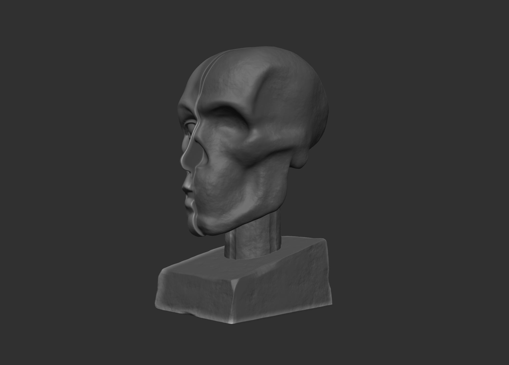 Anatomical Reference Ecorche Head Skull 3D model 3D printable | CGTrader