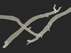 Dry Branch 3D model | CGTrader