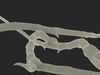 Dry Branch 3D model | CGTrader