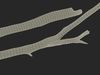 Dry Branch 3D model | CGTrader