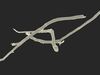 Dry Branch 3D model | CGTrader