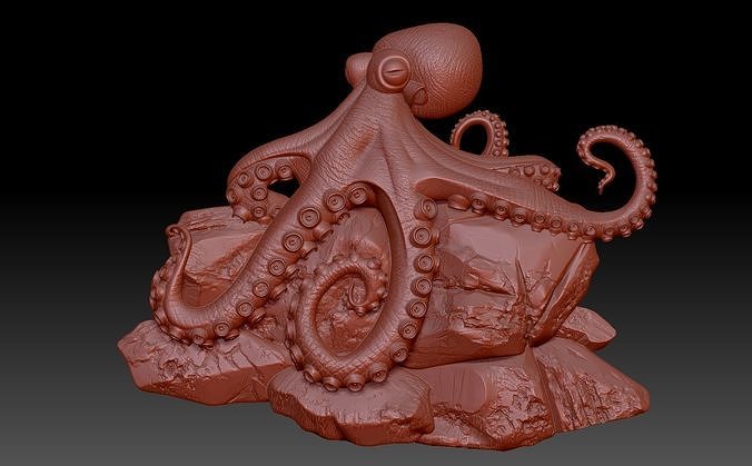 Octopus 3D model 3D printable | CGTrader