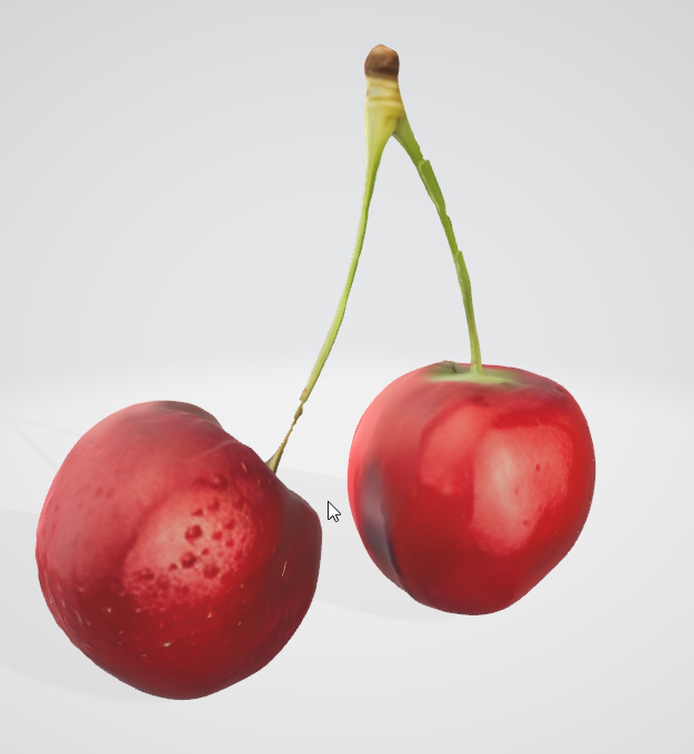 Realistic Cherry 3D Asset 3D model | CGTrader